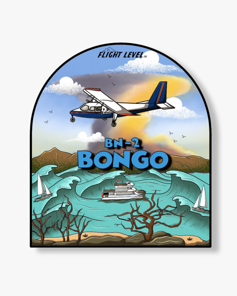 BN2 BONGO STICKER – Flight Level Co